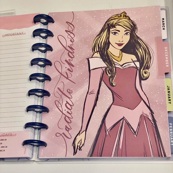 The Happy Planner | Office | Disney Princess Happy Planner 2 Months ...